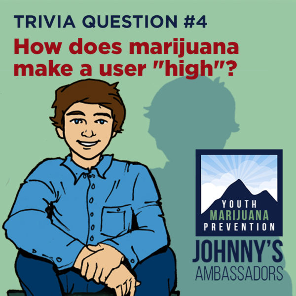 Marijuana Trivia Graphics • Johnny's Ambassadors